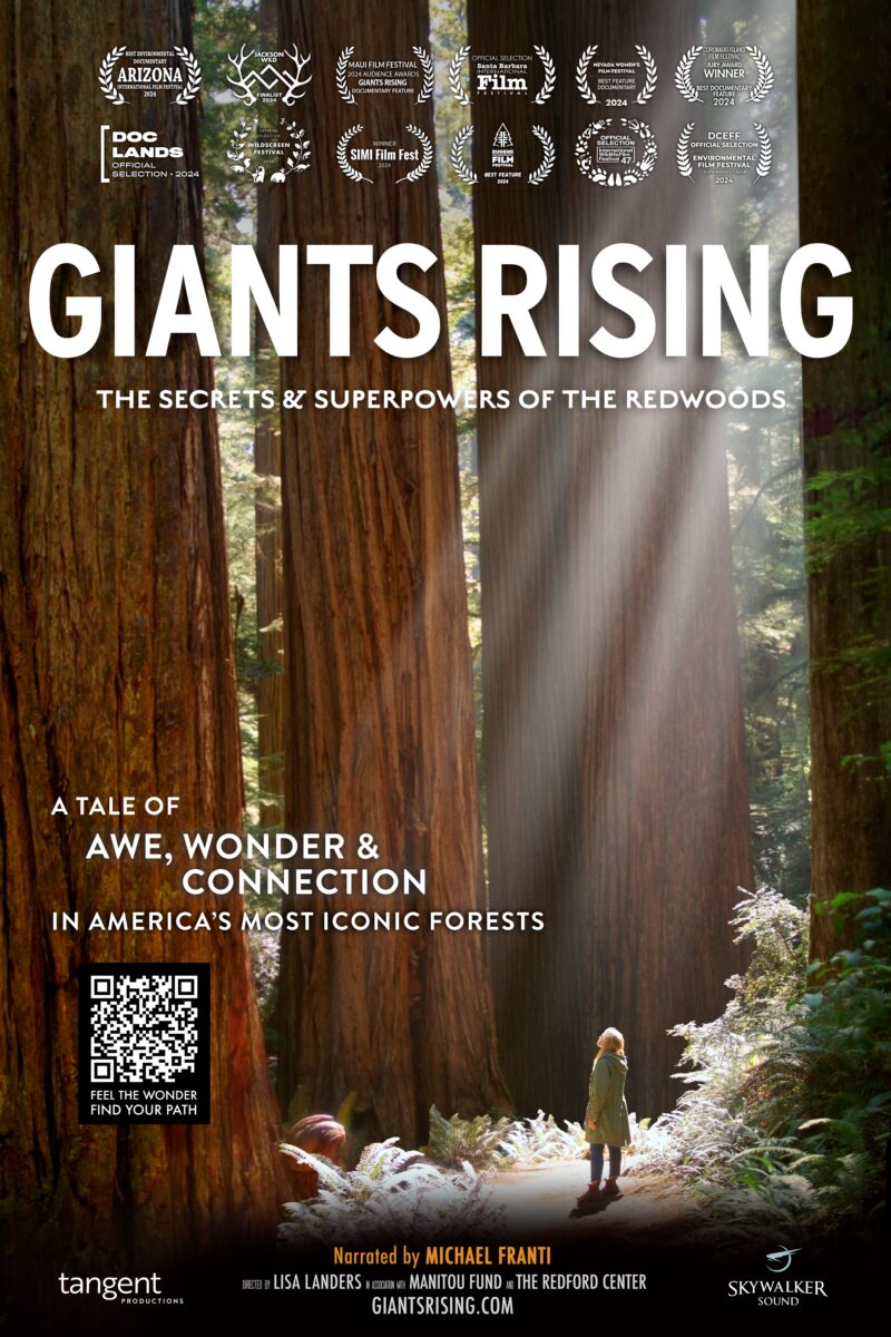 Giants Rising Film – Sunnyvale Urban Forest Advocates